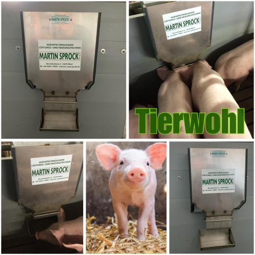 Raufutter - Tierwohl | Martin Sprock GmbH